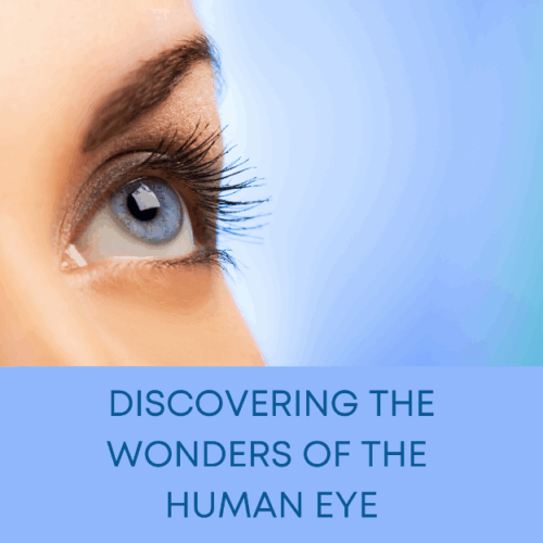Discovering The Wonders of the Human Eye | Raleigh Ophthalmology